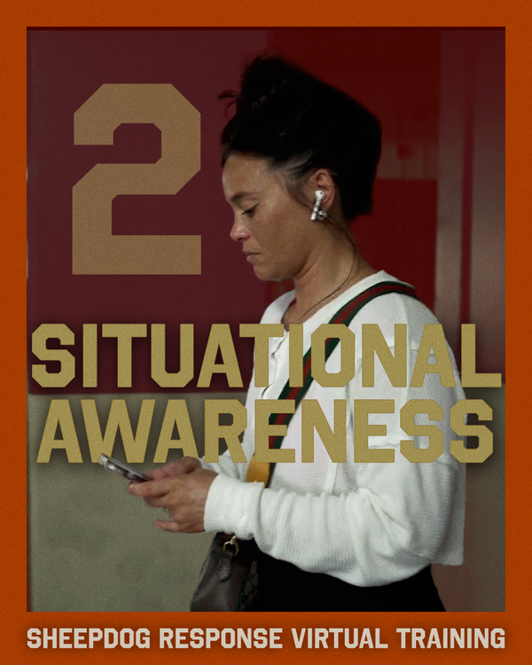 Situational Awareness 2 + Surveillance Detection Virtual Training ...
