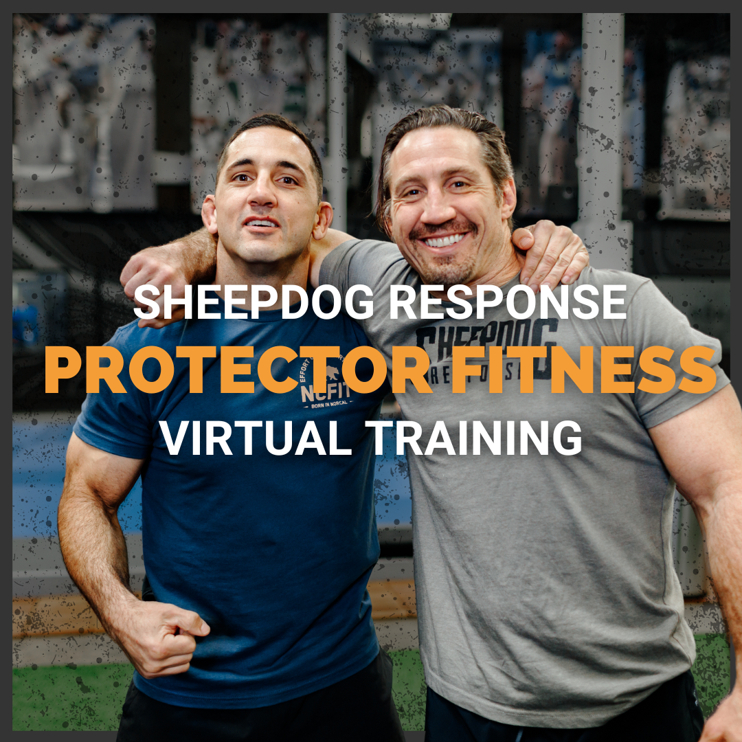 Virtual Training - Sheepdog Response