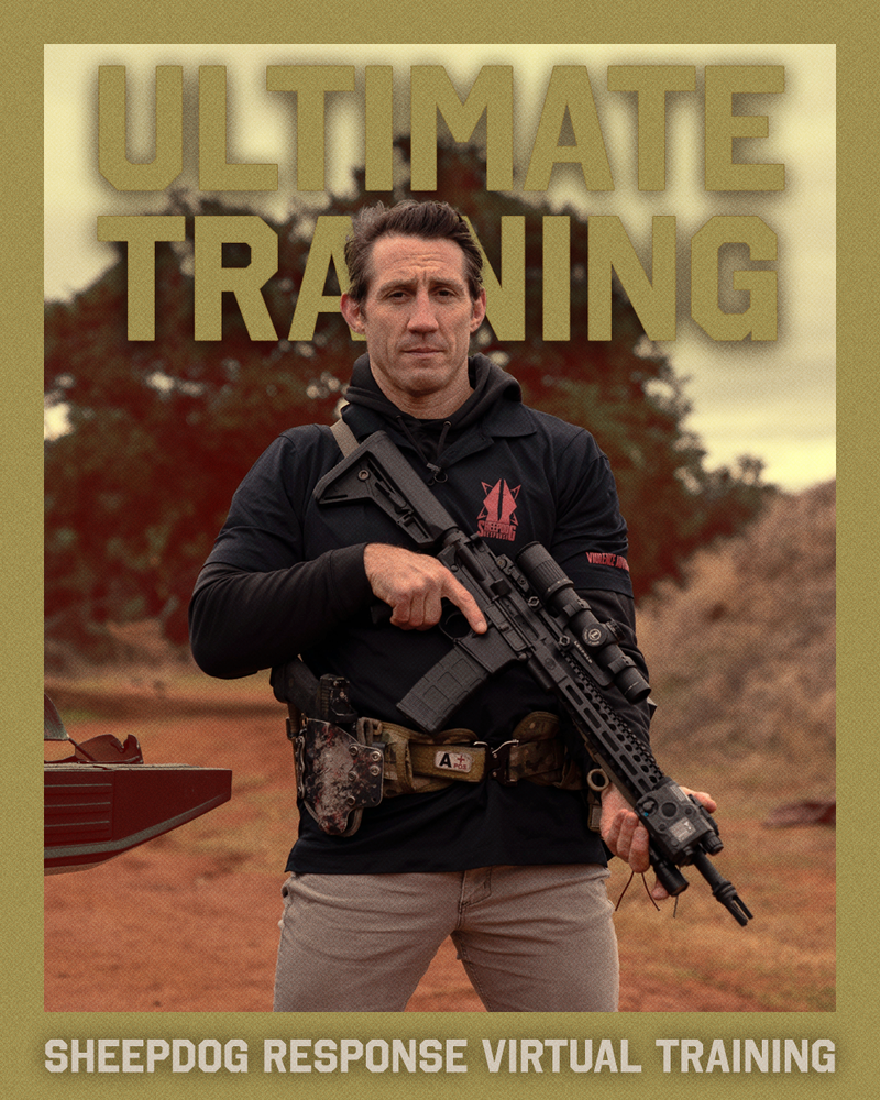 Virtual Training - Sheepdog Response
