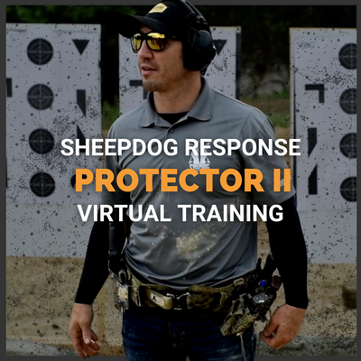 Virtual Training - Sheepdog Response
